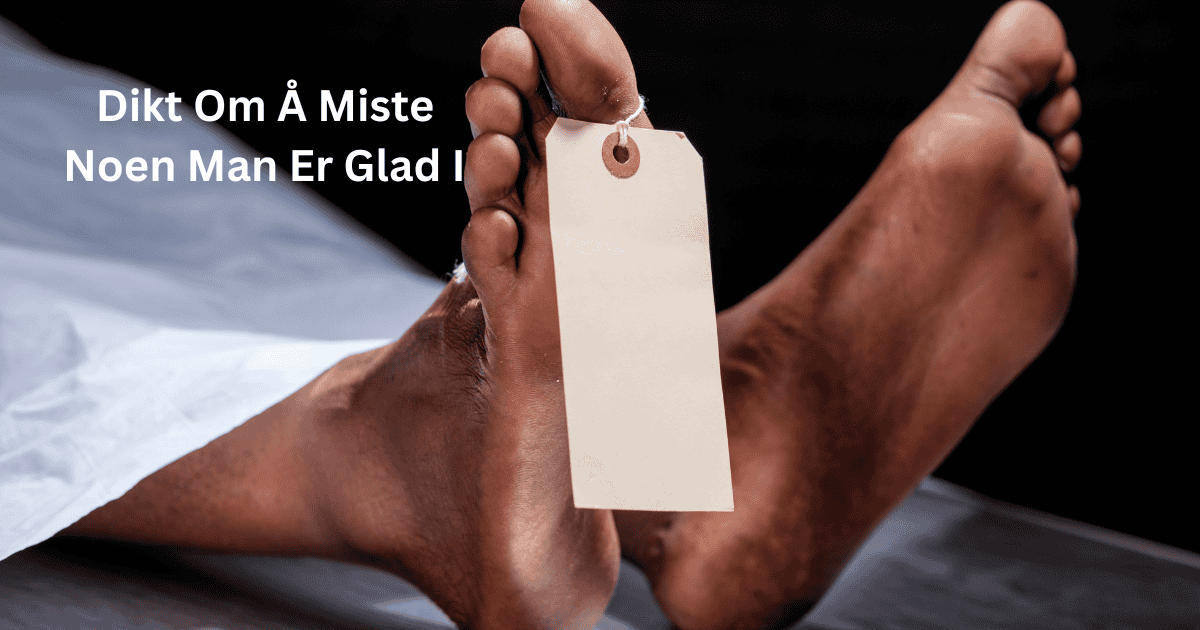 Dikt om å Miste Noen Man er Glad i – 20 Trøstende Dikt for Sorg