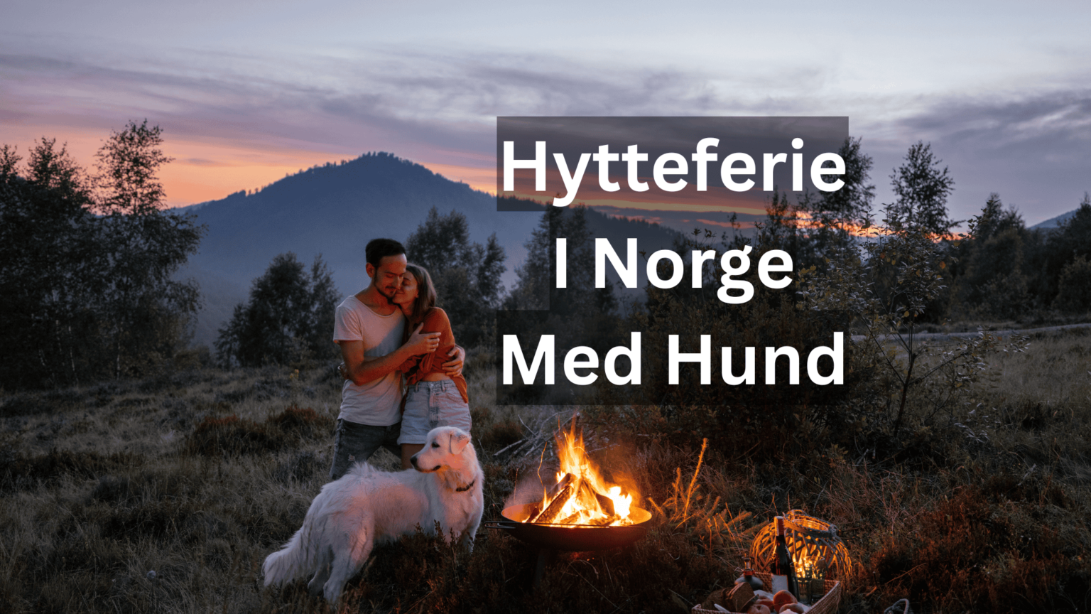 Hytteferie i Norge med Hund: En Familieopplevelse og Tips for En ...